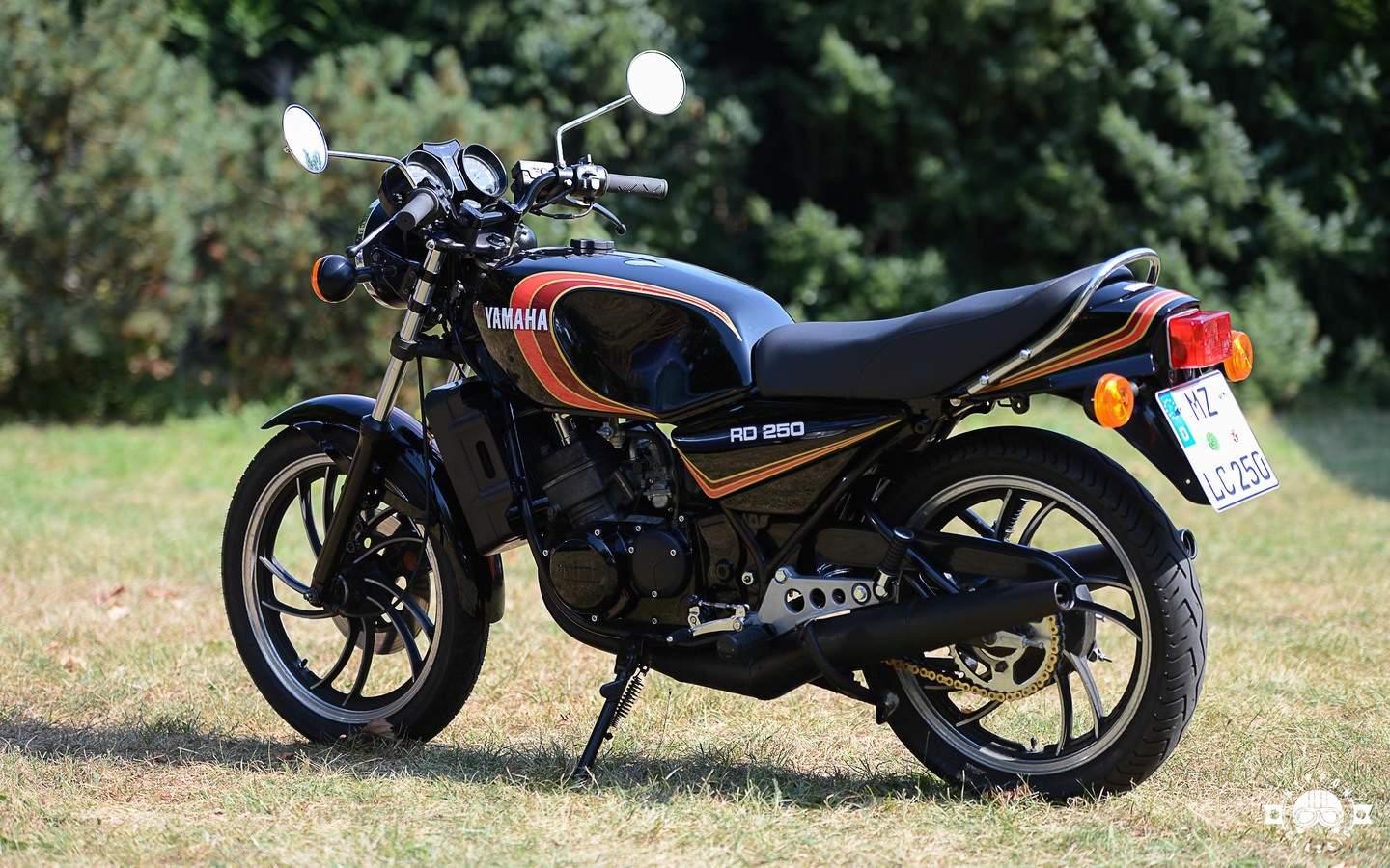 Yamaha RD 250 LC Ein B renstarker Zweitakter